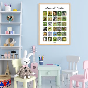 ANIMALS' BABIES POSTER • Montessori Poster • Montessori Educational ...