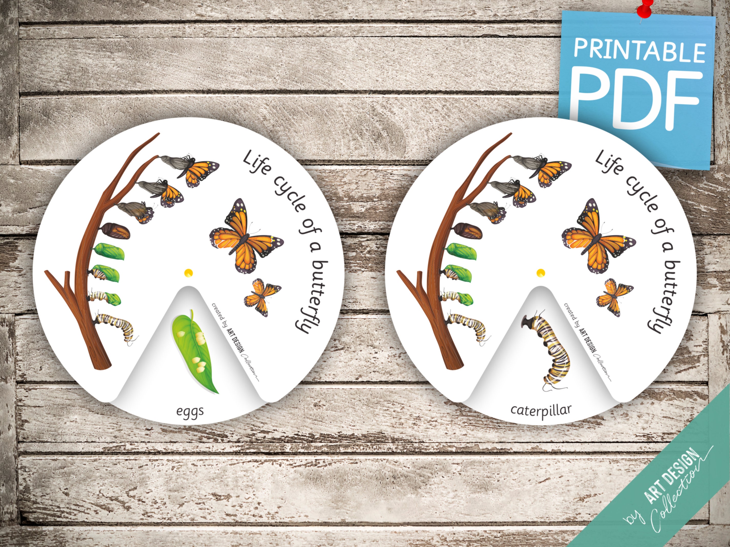 LIFE CYCLE of a BUTTERFLY Wheel • Montessori Busy Book Activity ...