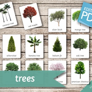 TREES (real Pictures) GREEK Edition • 32 Greek and 32 English Editable ...