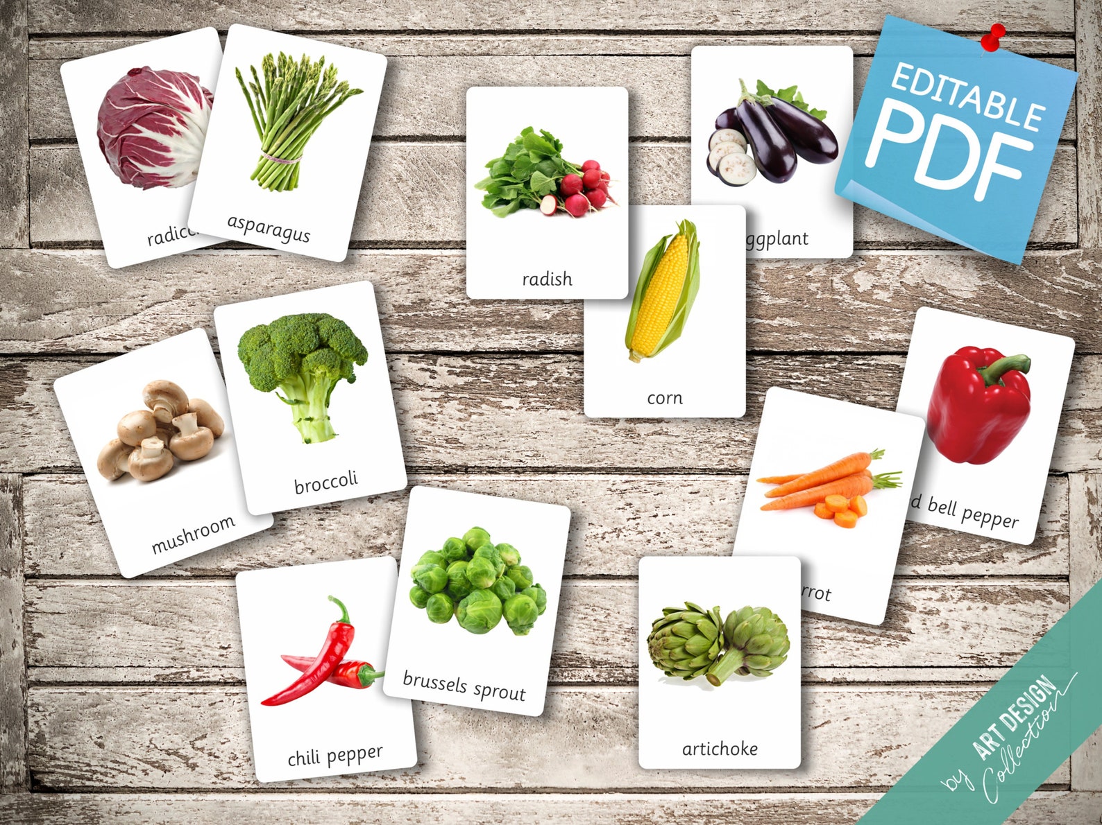 VEGETABLES real Pictures 46 Editable Montessori Cards Flash Cards ...