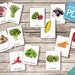 VEGETABLES (real Pictures) • 46 Editable Montessori Cards • Flash Cards ...