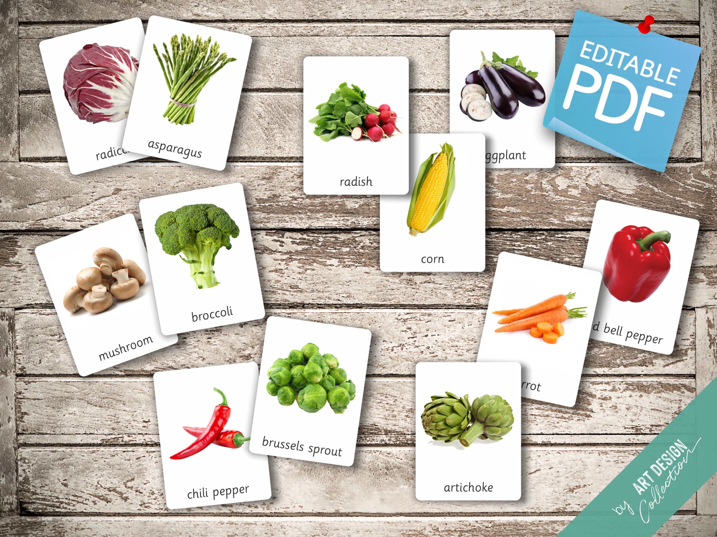 VEGETABLES real Pictures 46 Editable Montessori Cards - Etsy