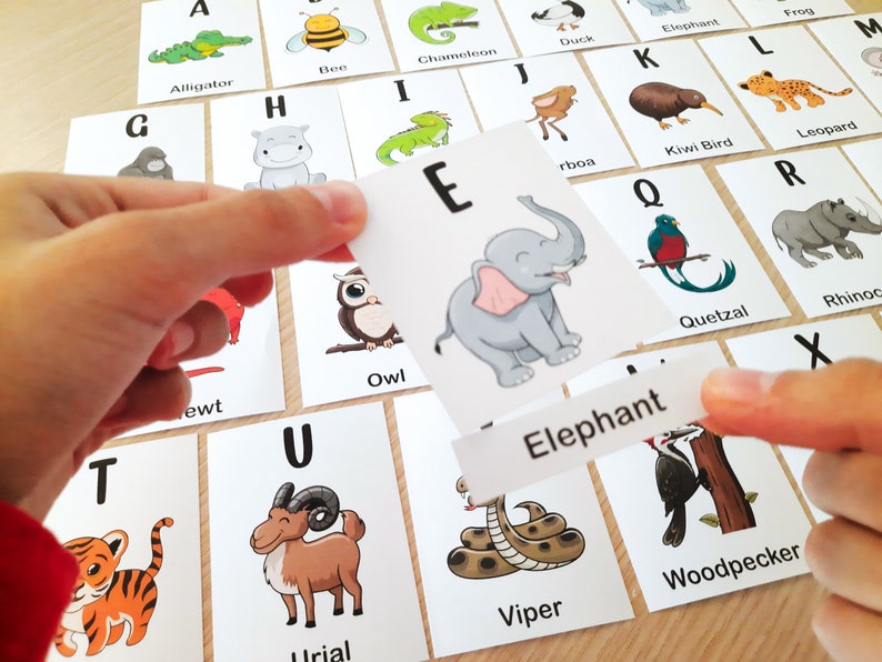 ANIMAL ALPHABET Flashcards 26 Montessori Cards Flash Cards - Etsy