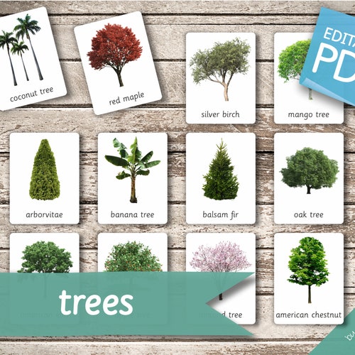 TREES real Pictures 32 Editable Montessori Cards Flash - Etsy