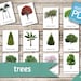 TREES real Pictures 32 Editable Montessori Cards Flash | Etsy