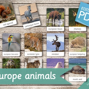 EUROPE ANIMALS • 28 Editable Montessori Cards • Flash Cards ...