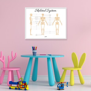 SKELETAL SYSTEM • Montessori Poster • Montessori Educational ...
