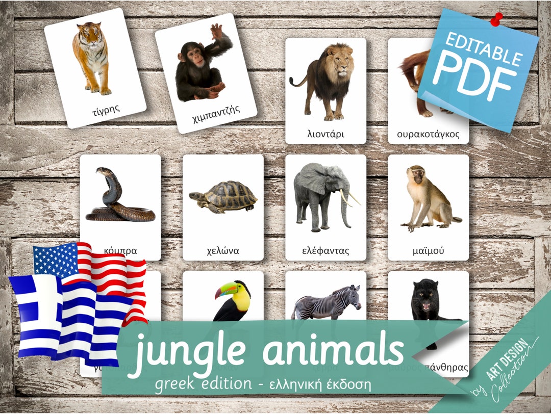 JUNGLE ANIMALS GREEK Edition • 22 Greek and 22 English Montessori Cards ...