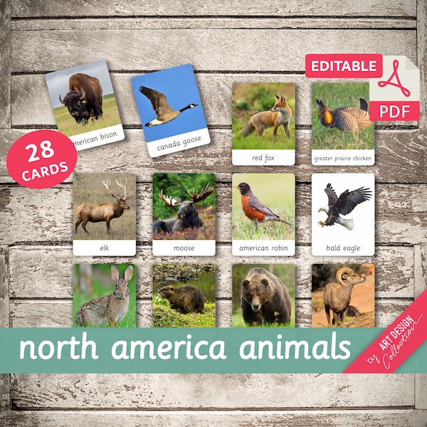 32 Wild Animals Flashcards / Image Cards for Kids. Nomenclature Cards ...