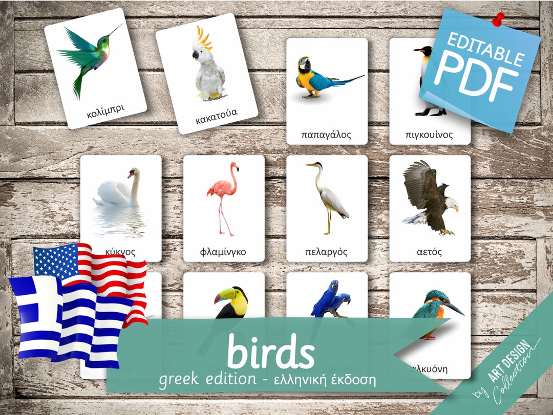 BIRDS (real Pictures) GREEK Edition • 30 Greek and 30 English Editable ...