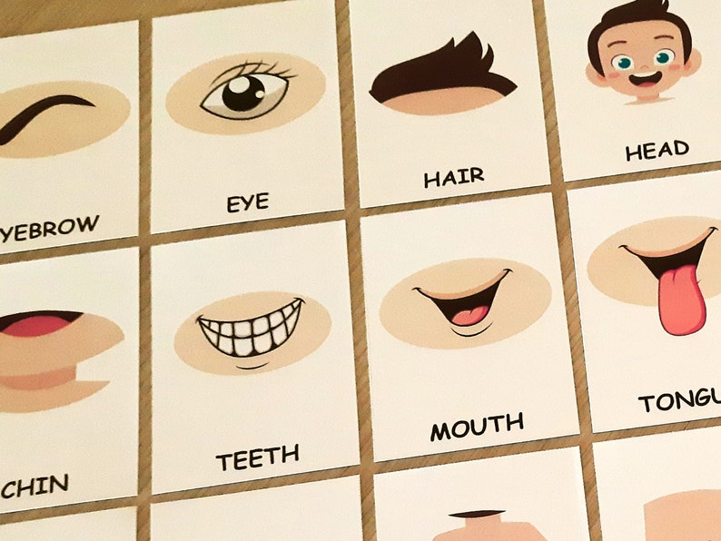 BODY PARTS 24 Montessori Cards Flash Cards Nomenclature - Etsy