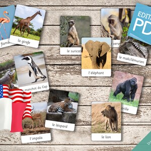 AFRICA ANIMALS FRENCH Edition • 28 French and 28 English Editable ...
