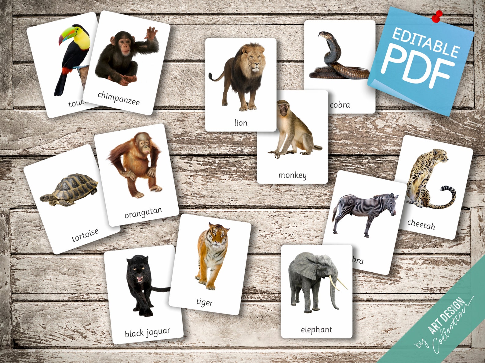 JUNGLE ANIMALS 22 Editable Montessori Cards Flash Cards | Etsy