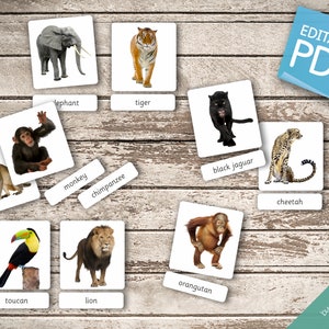 JUNGLE ANIMALS GERMAN Edition • 22 German and 22 English Editable ...