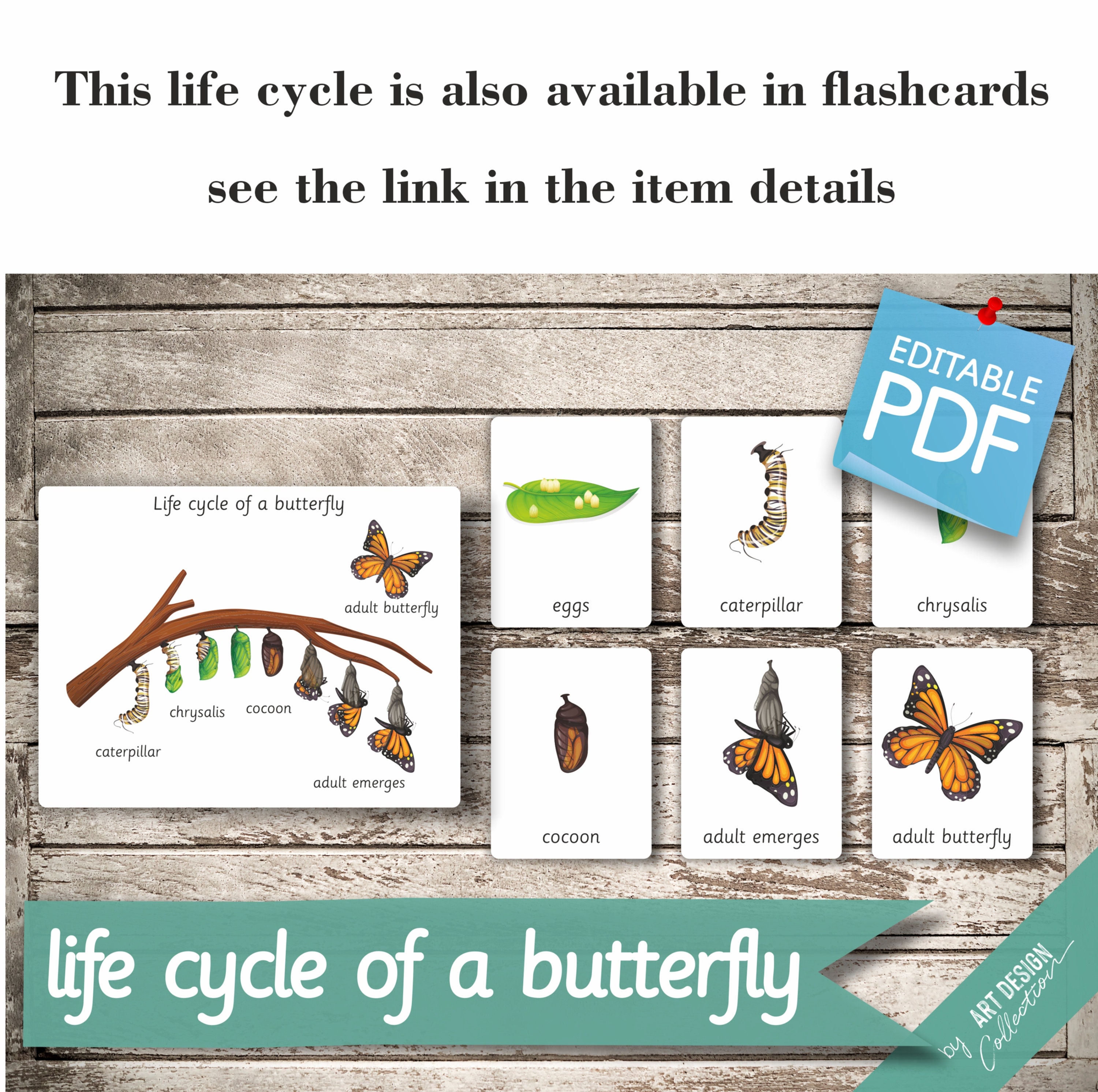 LIFE CYCLE of a BUTTERFLY Wheel Montessori Busy Book - Etsy