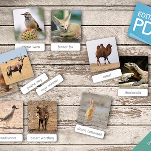DESERT ANIMALS • 24 Editable Montessori Cards • Flash Cards ...