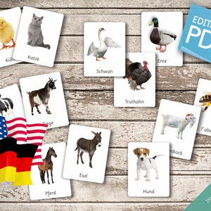 FARM ANIMALS GERMAN Edition • 22 German and 22 English Editable ...