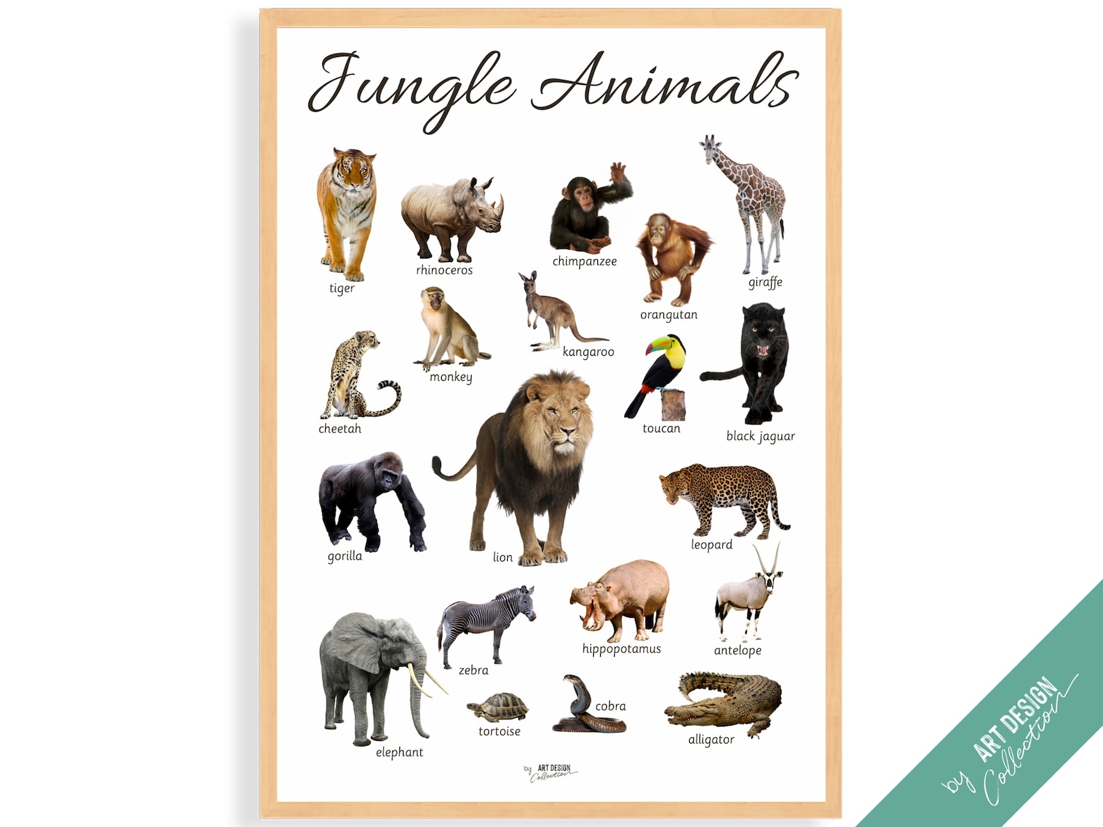 JUNGLE ANIMALS POSTER • Montessori Poster • Montessori Educational ...