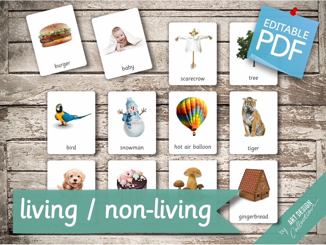 LIVING / Non-living 80 Editable Montessori Cards Flash Cards ...