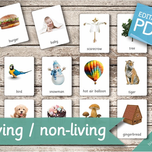 LIVING / Non-living 80 Editable Montessori Cards Flash - Etsy