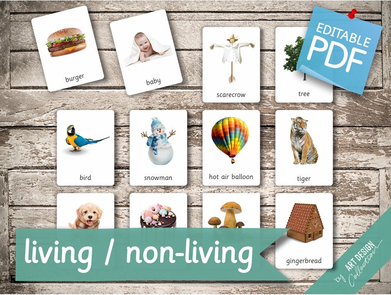 LIVING / Non-living 80 Editable Montessori Cards Flash - Etsy