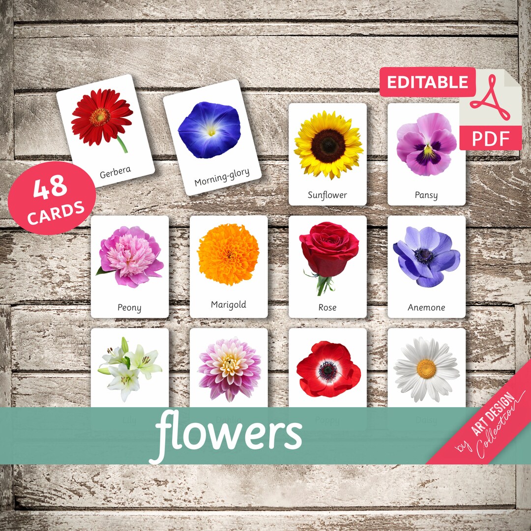FLOWERS (real Pictures) • 48 Editable Montessori Cards • Flash Cards ...