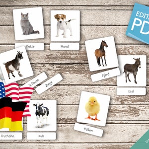 FARM ANIMALS GERMAN Edition • 22 German and 22 English Editable ...