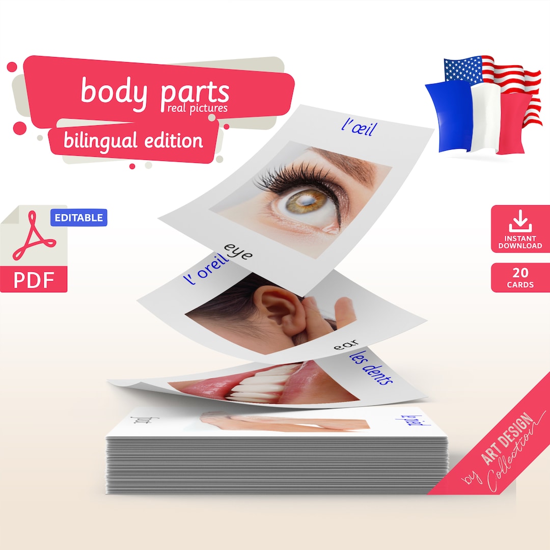 BODY PARTS (real Pictures) BILINGUAL • 22 Editable Montessori Flash ...