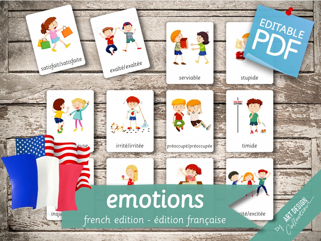 EMOTIONS FRENCH Edition • 18 French and 18 English Editable Montessori ...