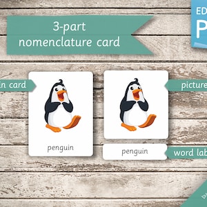 WINTER • 34 Montessori Cards • Flash Cards Nomenclature Flashcards ...