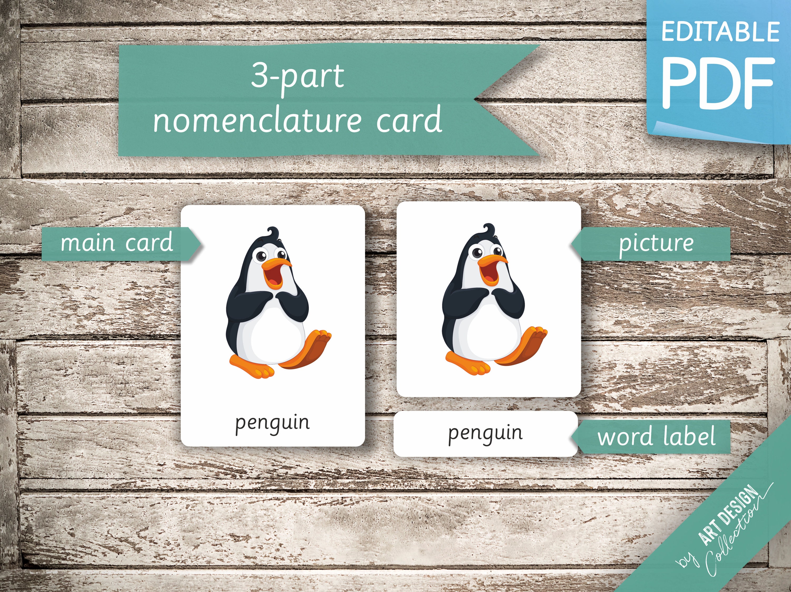 WINTER 34 Montessori Cards Flash Cards Nomenclature - Etsy