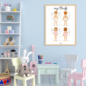 MY BODY POSTER • Montessori Poster • Montessori Educational ...
