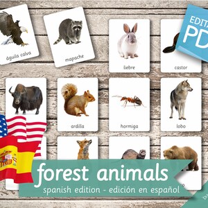 FOREST ANIMALS SPANISH Edition • 22 Spanish and 22 English Editable ...