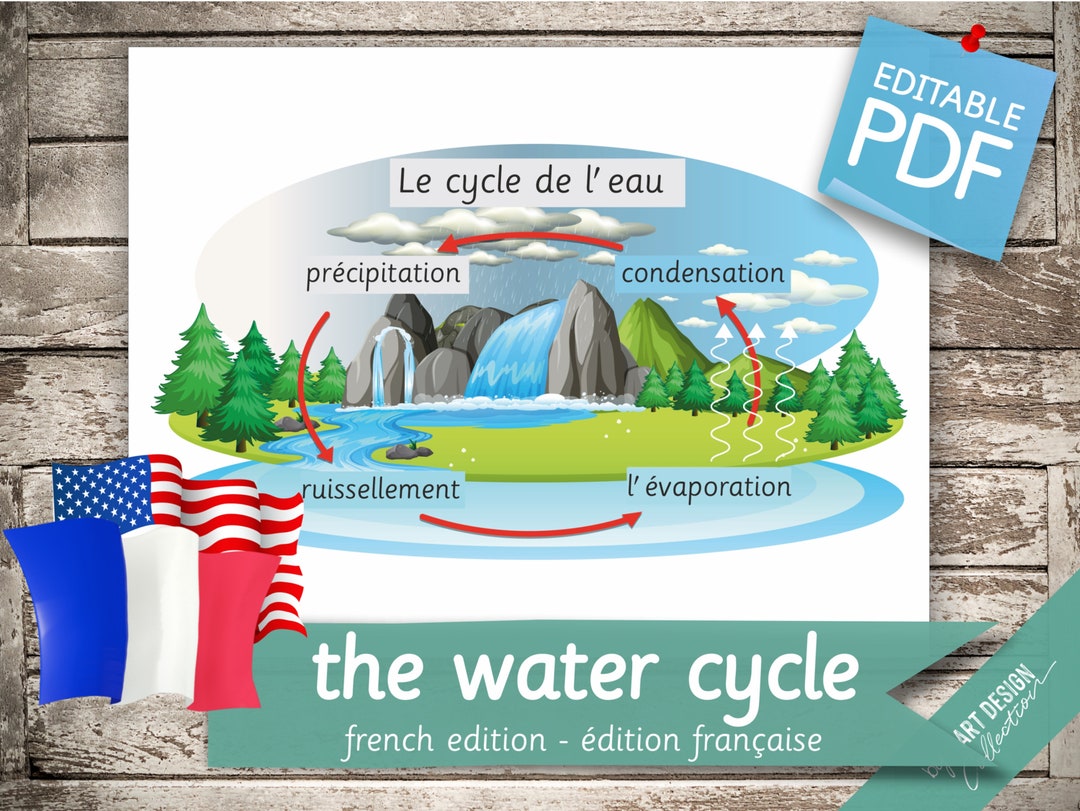 THE WATER CYCLE French Edition • 4 French and 4 English Editable ...