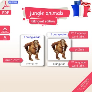 JUNGLE ANIMALS BILINGUAL • 22 Editable Montessori Cards • Flash Cards ...