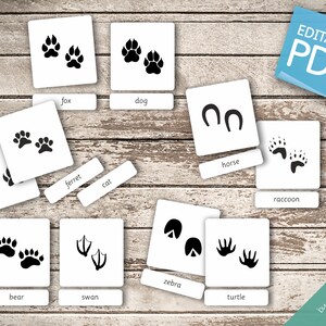 ANIMAL FOOTPRINTS • 50 Montessori Cards • Flash Cards Nomenclature ...