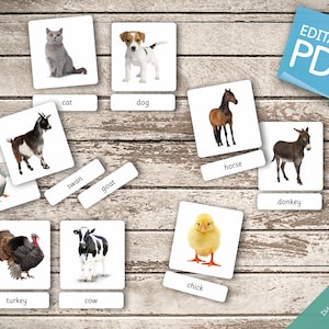 FARM ANIMALS • 22 Editable Montessori Cards • Flash Cards Nomenclature ...