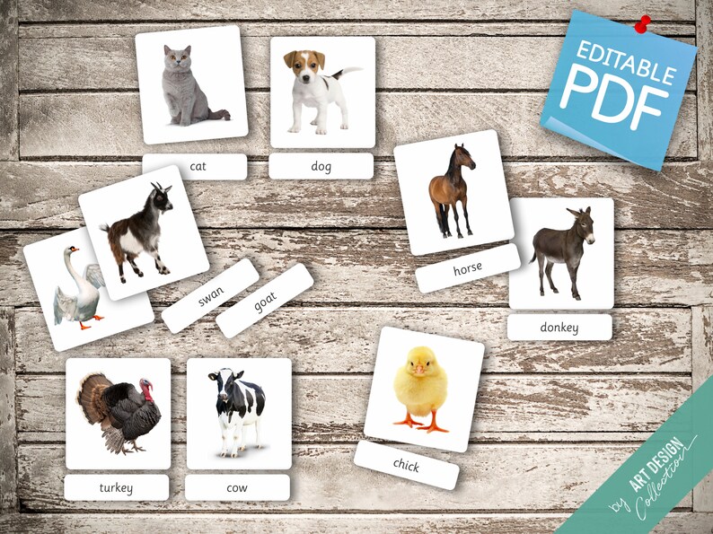 FARM ANIMALS • 22 Editable Montessori Cards • Flash Cards Nomenclature ...