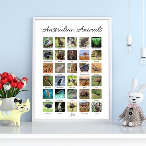 AUSTRALIAN ANIMALS POSTER • Montessori Poster • Montessori Educational ...