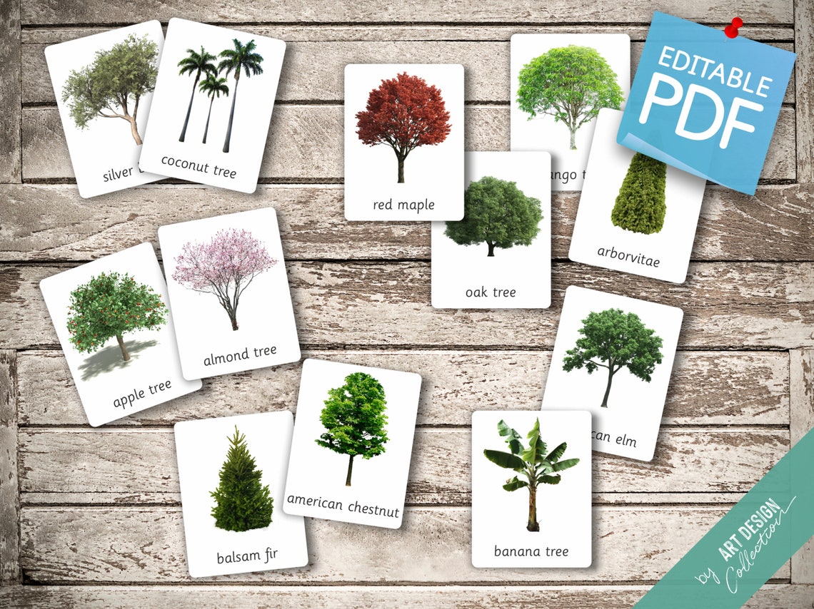 TREES real Pictures 32 Editable Montessori Cards Flash - Etsy