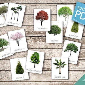TREES (real Pictures) • 32 Editable Montessori Cards • Flash Cards ...