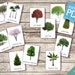 TREES real Pictures 32 Editable Montessori Cards Flash Cards ...