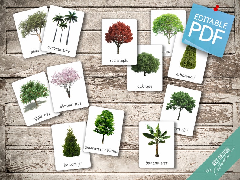TREES real Pictures 32 Editable Montessori Cards Flash - Etsy