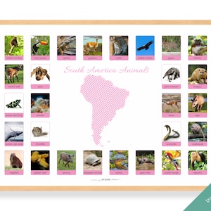 WORLD ANIMALS 7 Poster • Montessori Poster • Montessori Educational ...