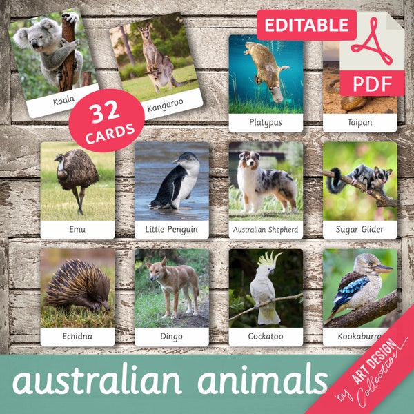 Australian Animals Flash Cards - Etsy