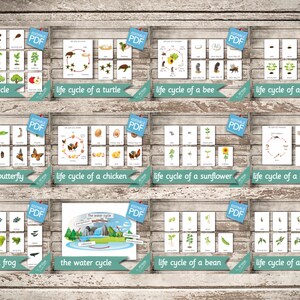 LIFE CYCLE BUNDLE • 12 Life Cycles • Montessori Cards Flash Cards ...