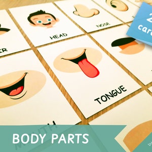 BODY PARTS • 24 Montessori Cards • Flash Cards Nomenclature Flashcards ...