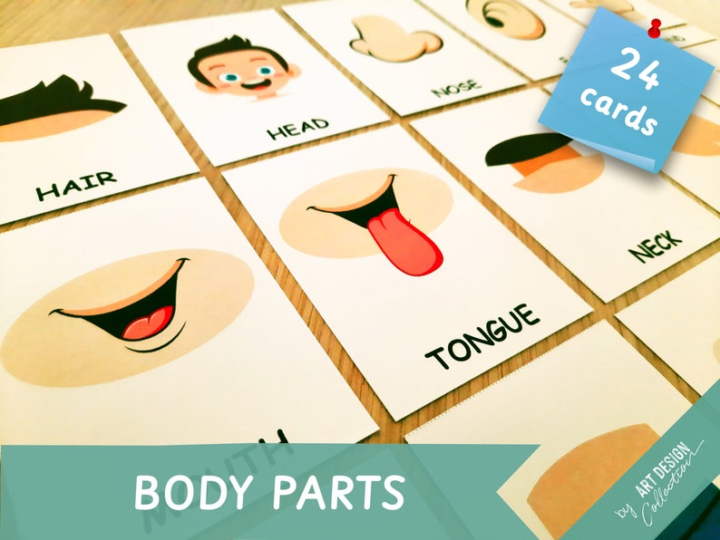 BODY PARTS • 24 Montessori Cards • Flash Cards Nomenclature Flashcards ...