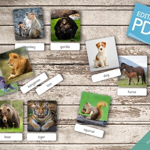 MAMMAL ANIMALS • 28 Editable Montessori Cards • Flash Cards ...