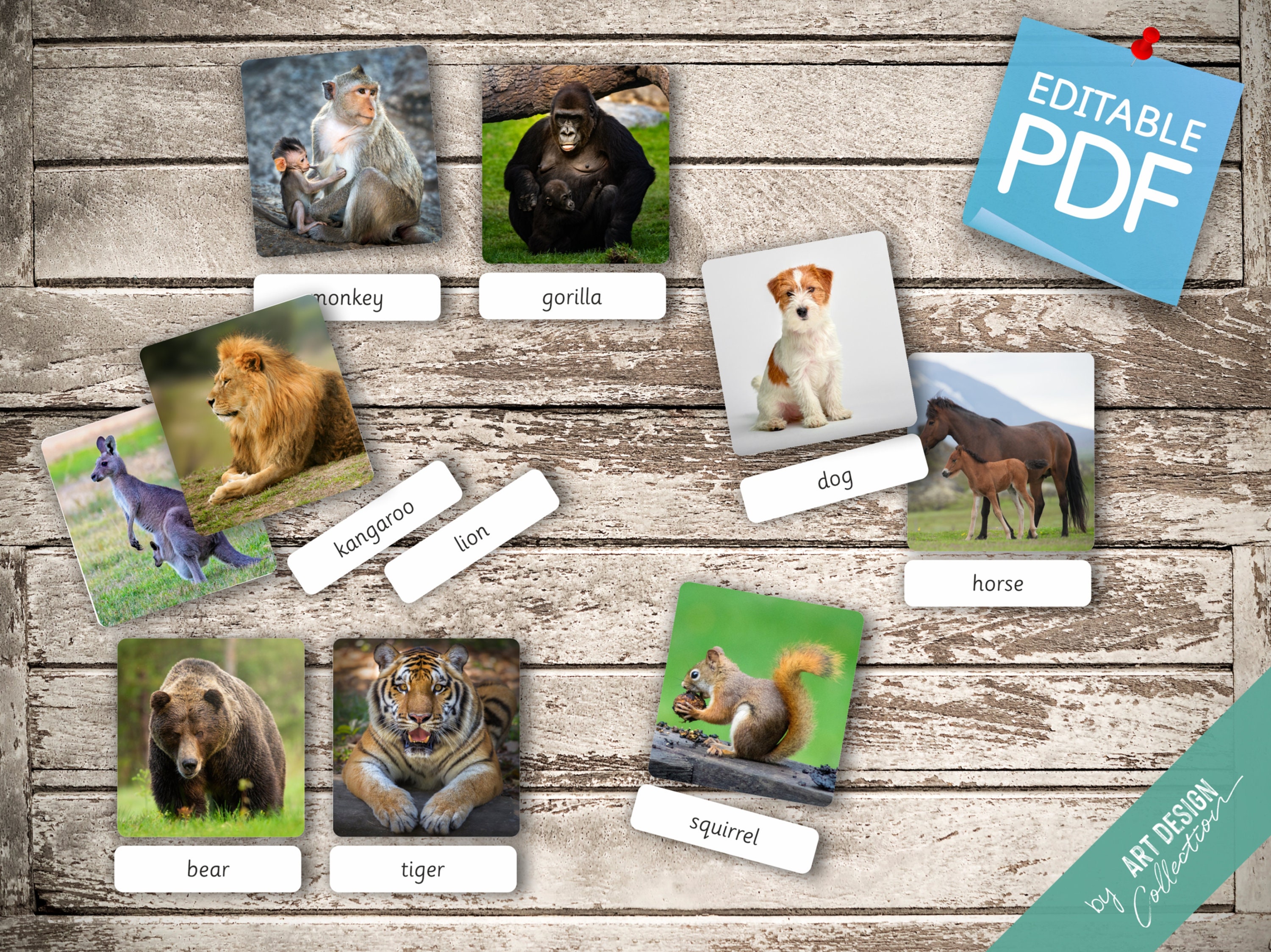 MAMMAL ANIMALS 28 Editable Montessori Cards Flash Cards - Etsy Australia